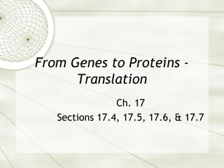 AP Bio Ch 17 part 2 translation | PPT