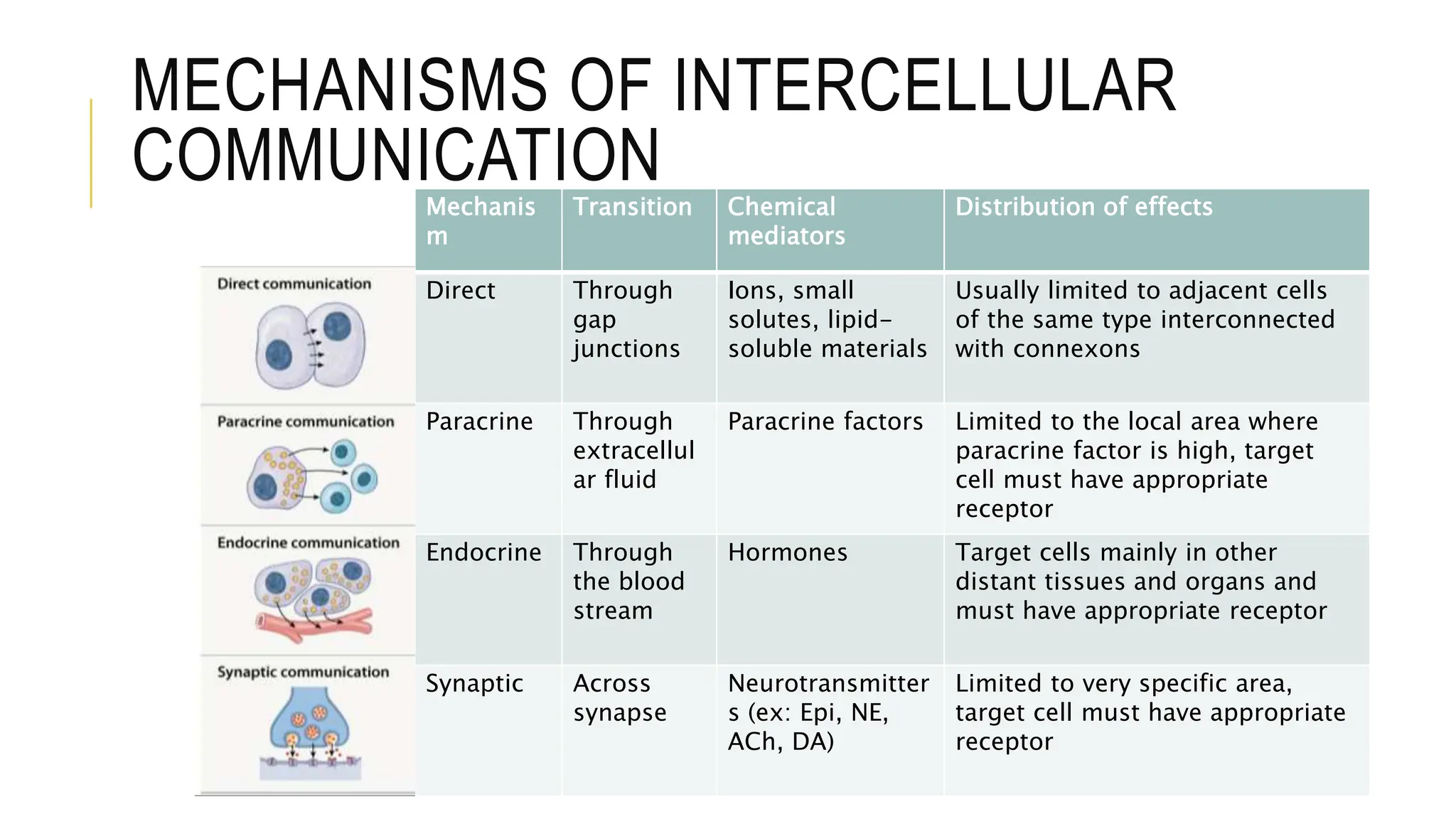 OpenStax Anatomy & Physiology 17 Endocrine System | PPTX