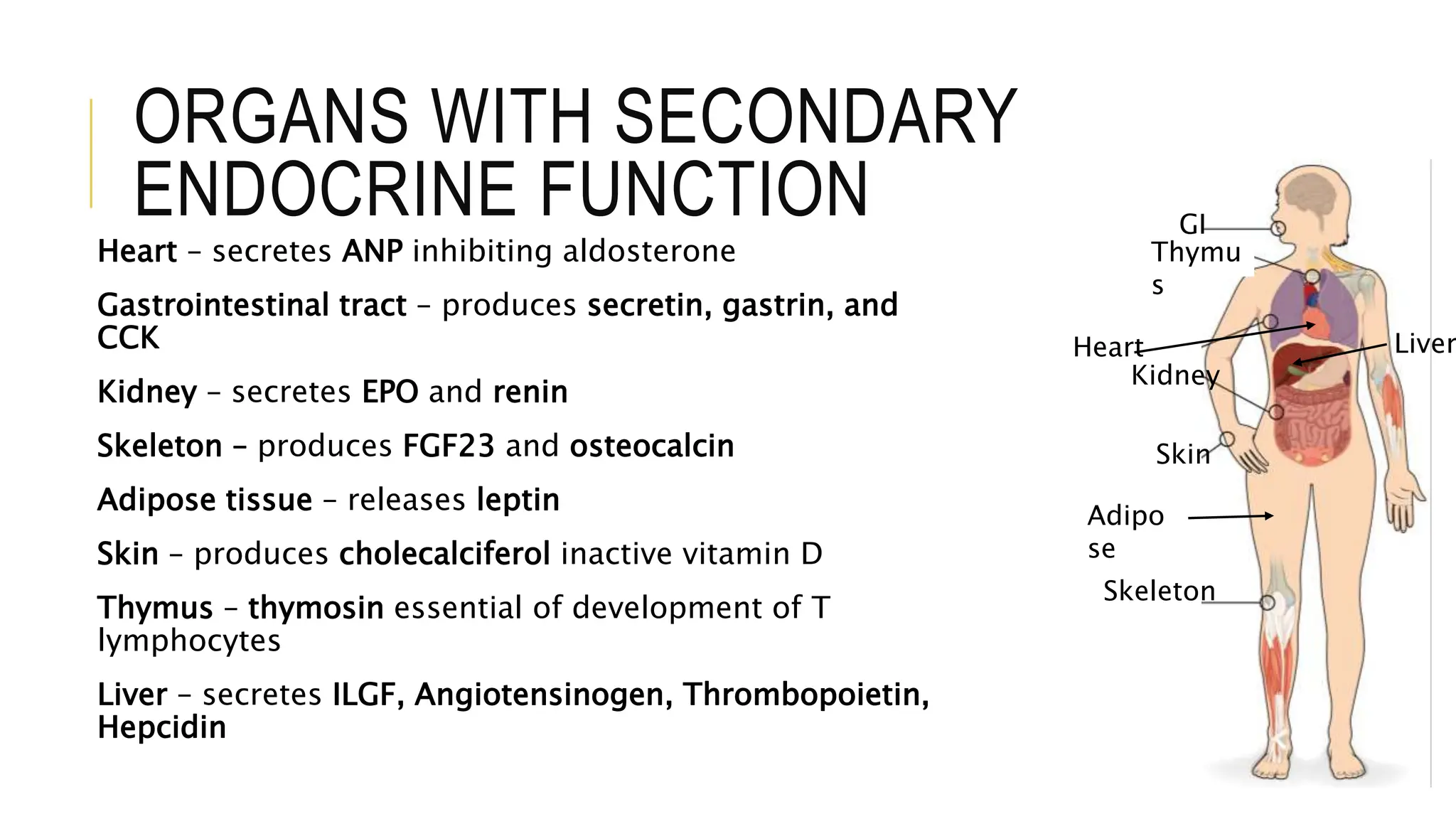 OpenStax Anatomy & Physiology 17 Endocrine System | PPTX