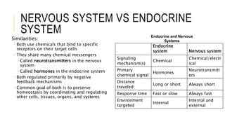 OpenStax Anatomy & Physiology 17 Endocrine System | PPTX