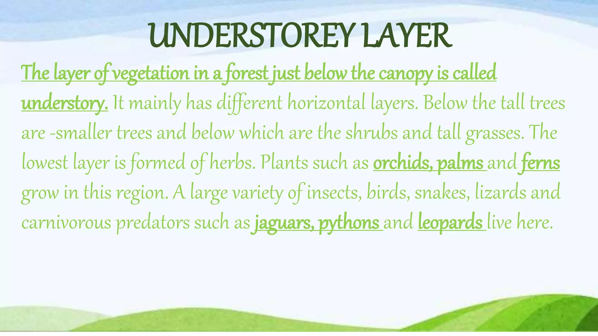 ch 17 ppt class7.pptx