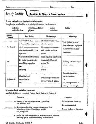 Ch+17+study+guides+with+key | PDF