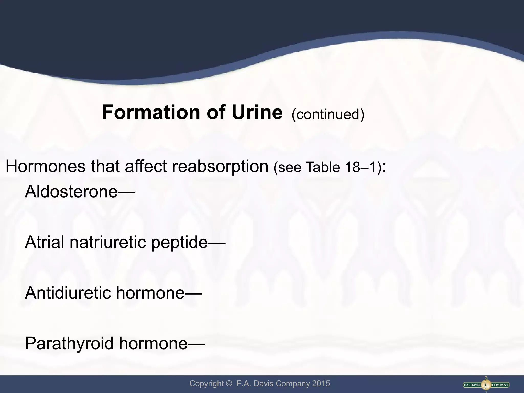 Ch 18 Urinary System | PPT