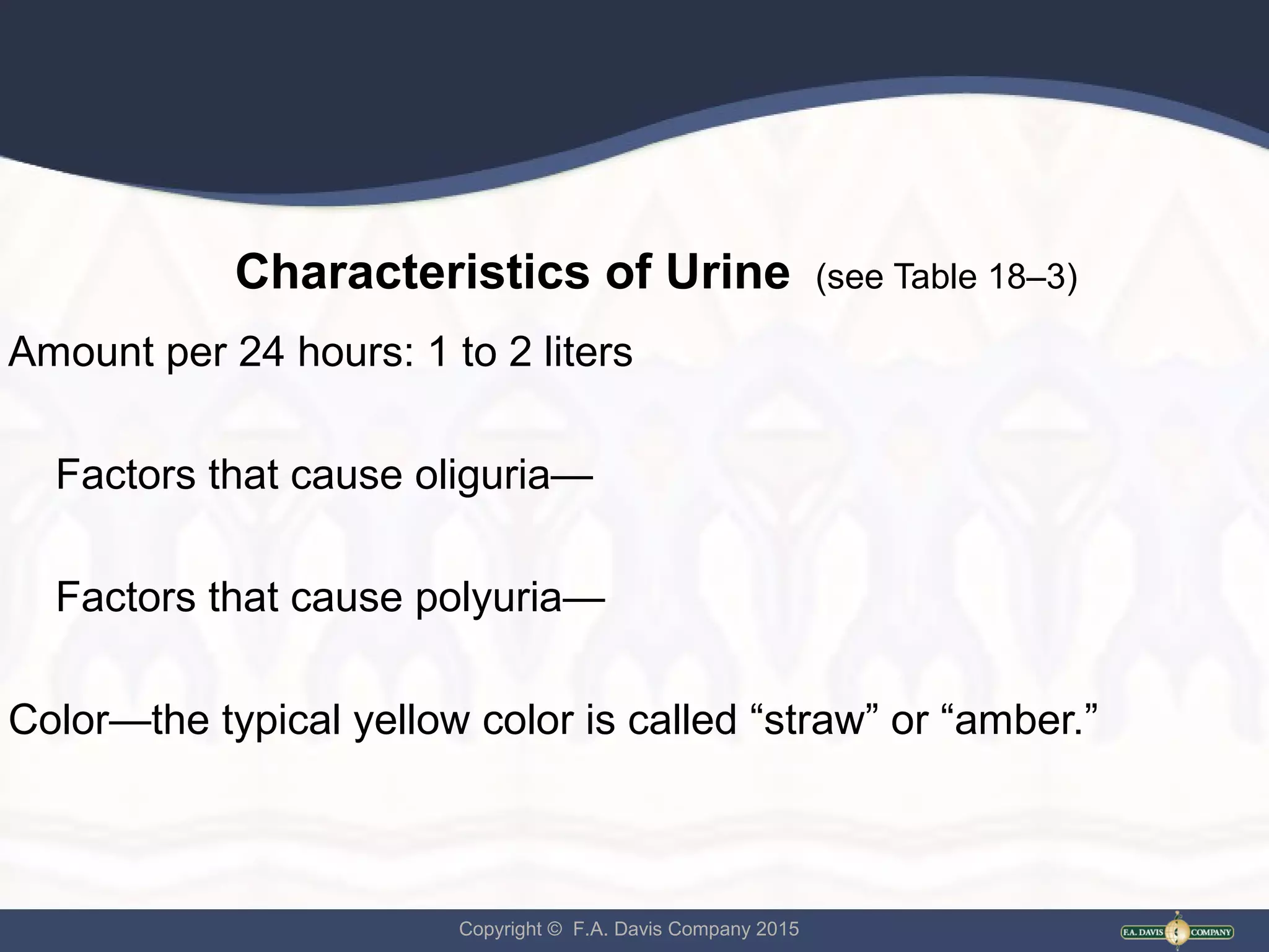 Ch 18 Urinary System Ppt
