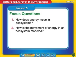 Ch. 18.3 Energy in Ecosystems | PPT