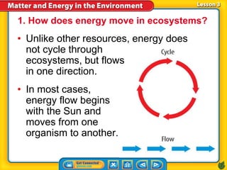 Ch. 18.3 Energy in Ecosystems | PPT