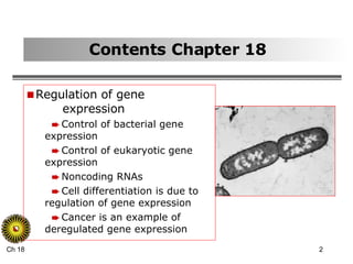 Hoofdstuk 18 2008 deel 1 | PPT