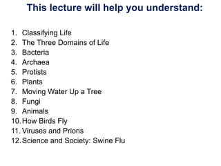 Ch18 animal diversity | PPT | Chemistry | Science