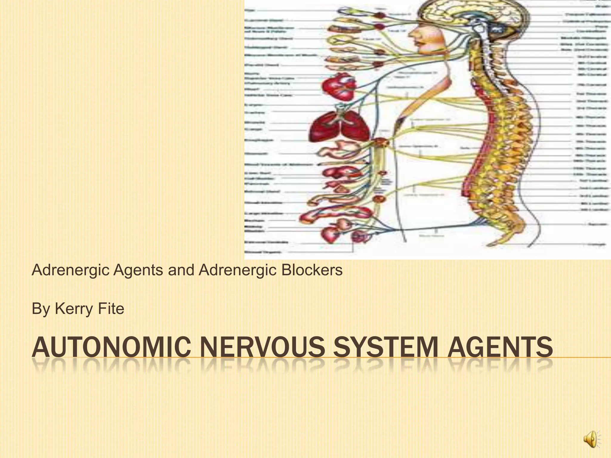 Ch 18 autonomic nervous system agents pharm | PPTX | Heart and ...
