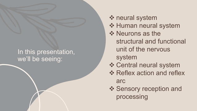 neural control and coordination chapter 19 | PPTX