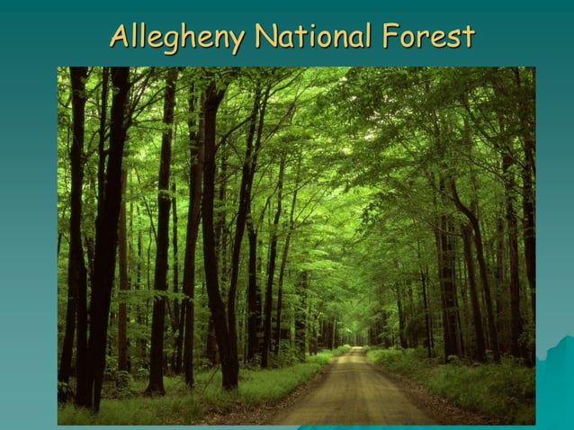 land Resources.ppt | Agriculture | Industries