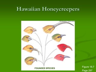 ch18_ Speciation.ppt
