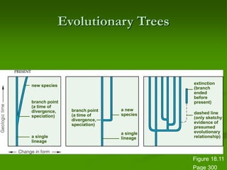 ch18_ Speciation.ppt