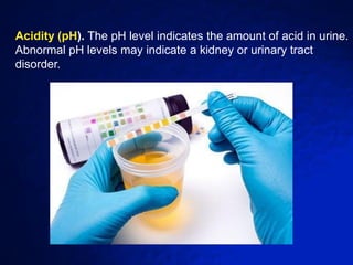 Ch 18 The Urinary System - student pt 3.pdf