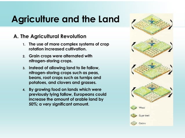 Ch19 1 Agriculture And The Land | PPT