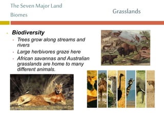 Chapter 19.1: Land Biomes | PPTX