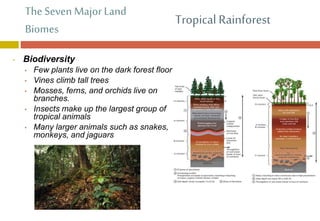 Chapter 19.1: Land Biomes | PPTX | Geography | Science