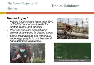 Chapter 19.1: Land Biomes | PPTX | Geography | Science