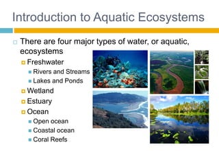 Chapter 19.2: Aquatic Ecossytems | PPTX