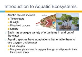 Chapter 19.2: Aquatic Ecossytems | PPTX