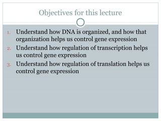 AP Biology Ch. 15, part 2 regulation of the eukaryotic genome | PPT
