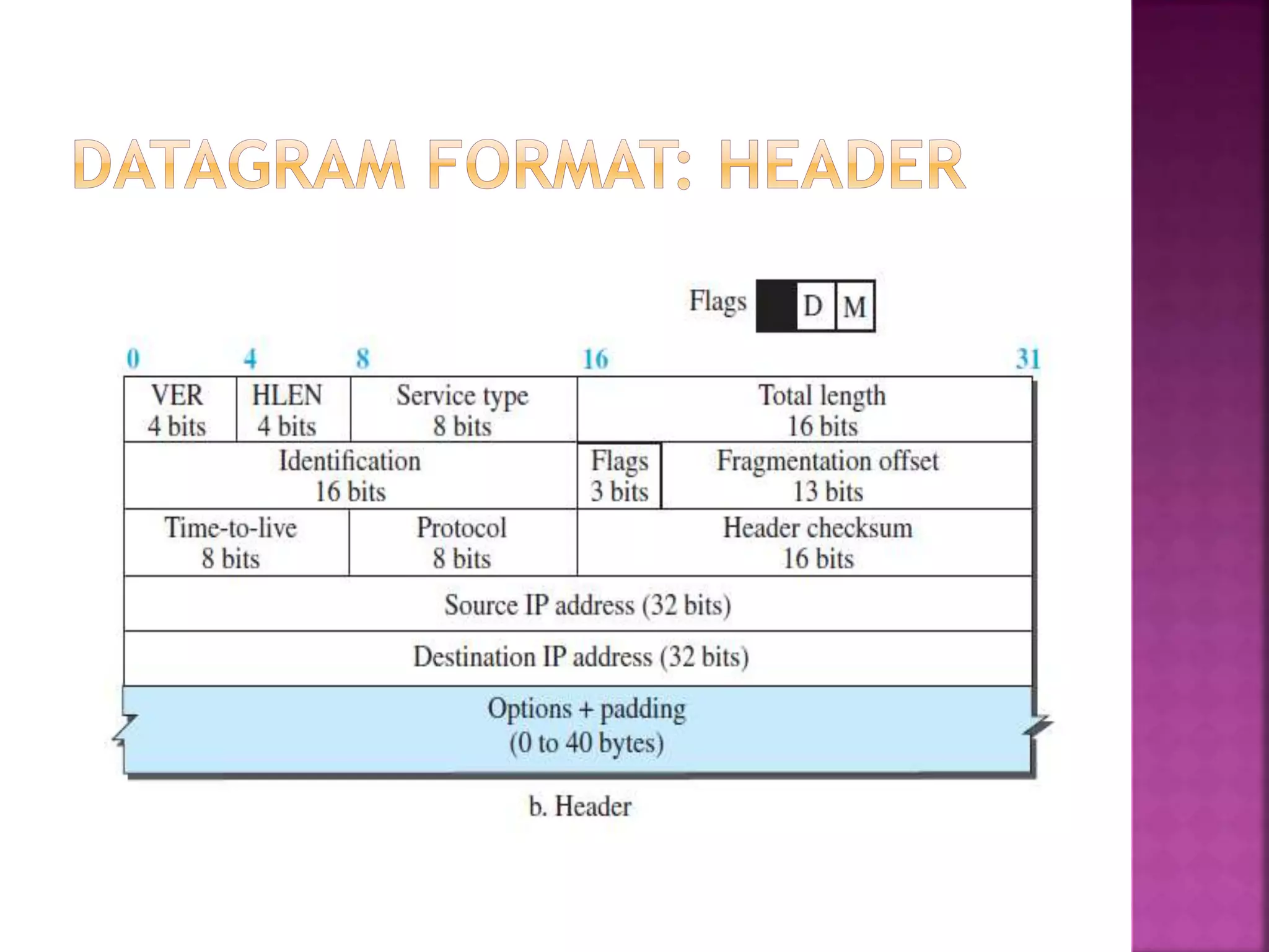 Ch 19 Network Layer Protocols Section 1 Pptx Computer Networking