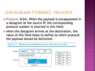 Ch 19 Network-layer protocols Section 1 | PPTX