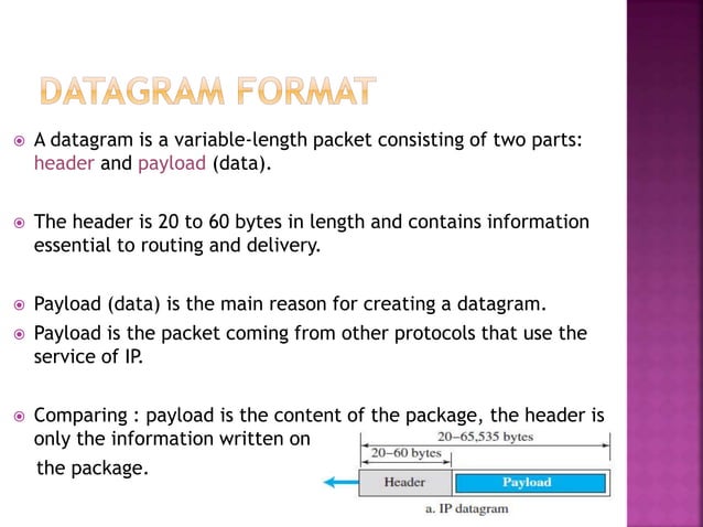 Ch 19 Network-layer protocols Section 1 | PPTX | Computer Networking | Computing