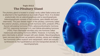 Ch 19 notes for class 11 best quality notes | PPTX