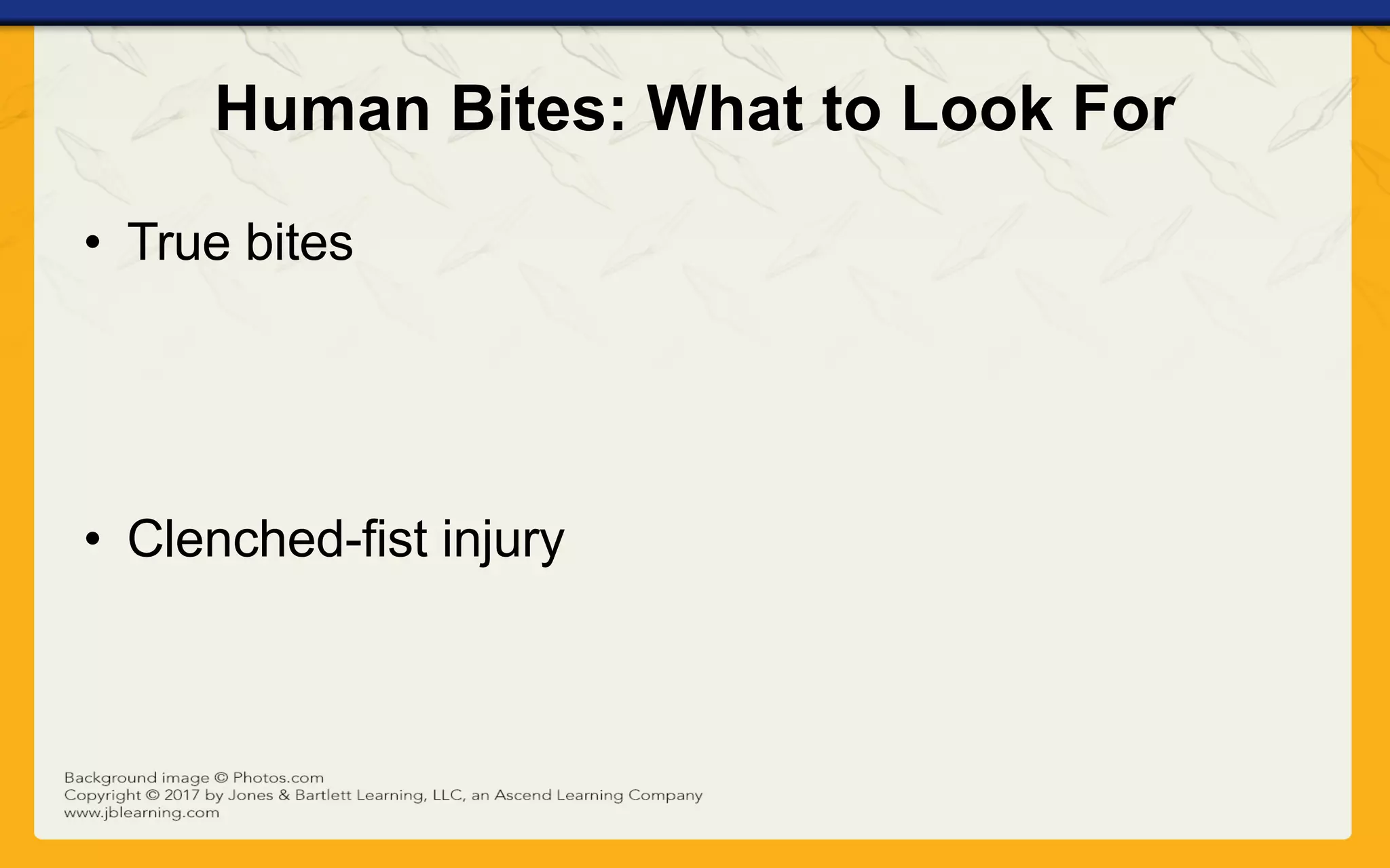 FirstAid Bites and Stings | PDF