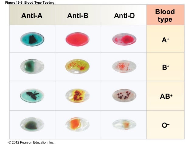 169 Ch 19_lecture_presentation