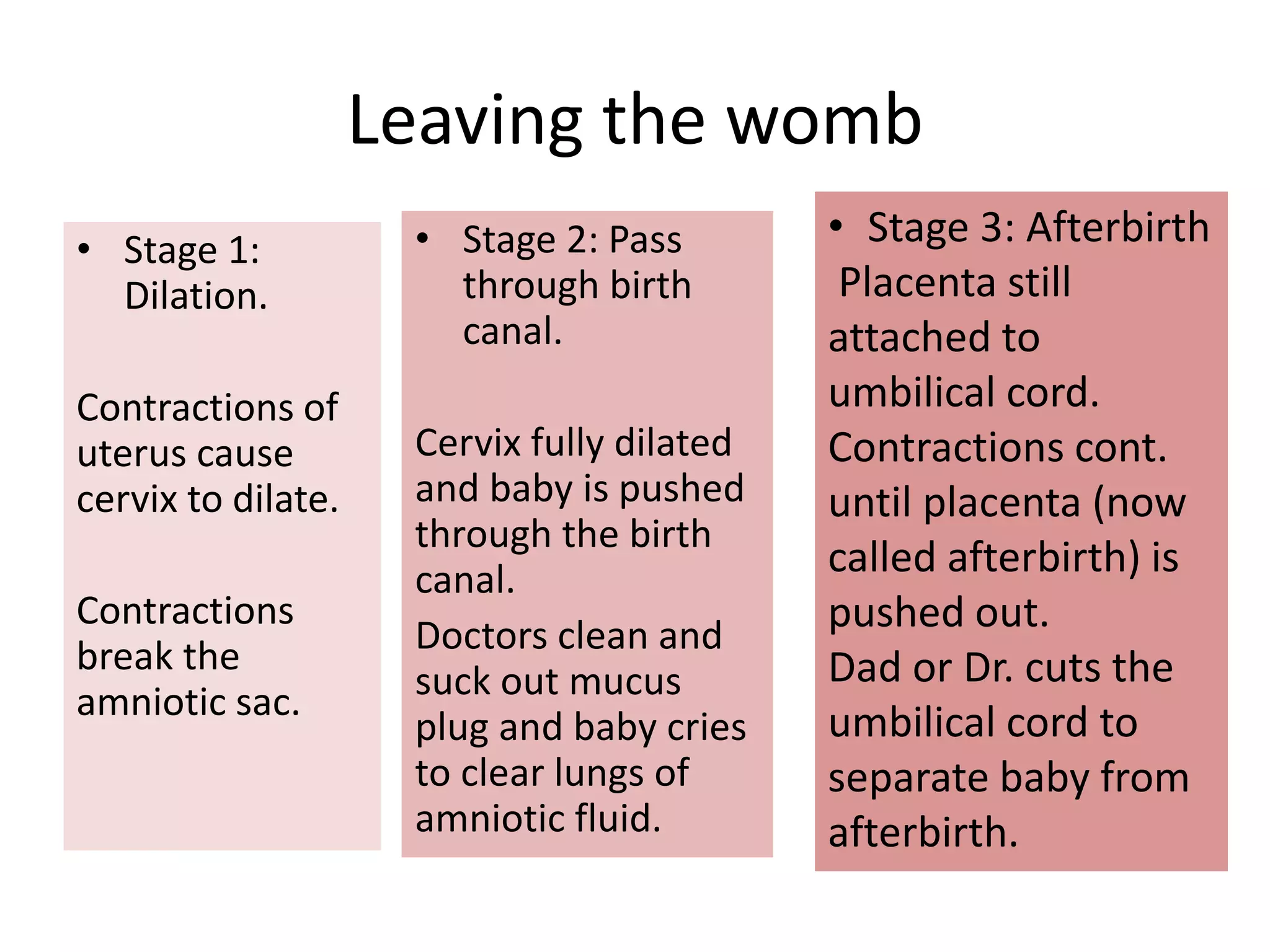 Ch 19 pregnancy_l1-2 | PPTX