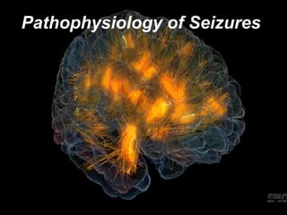 Chapter 19 Seizures & Syncope ppt for EMT | PPT