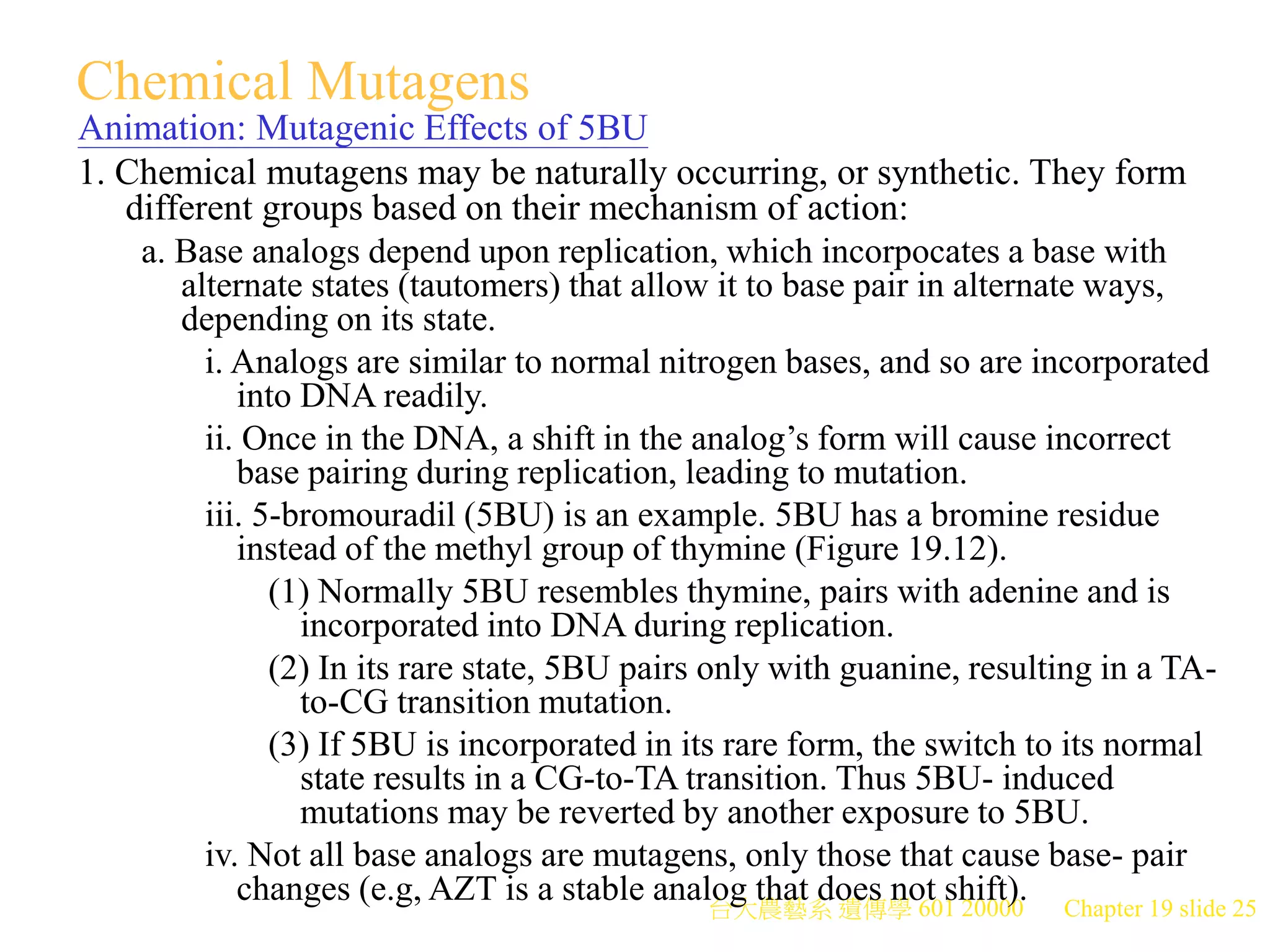 ch19 supplementary mutation.ppt
