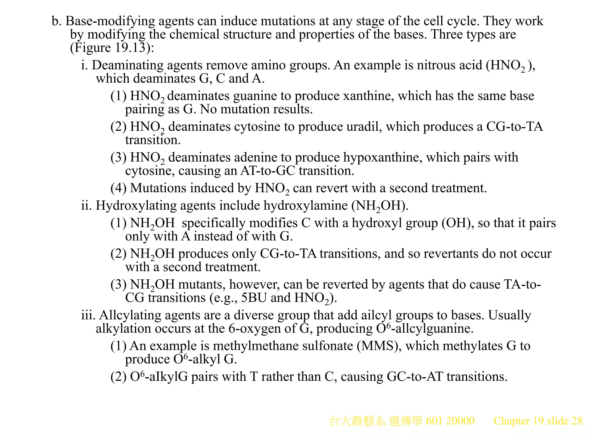 ch19 supplementary mutation.ppt