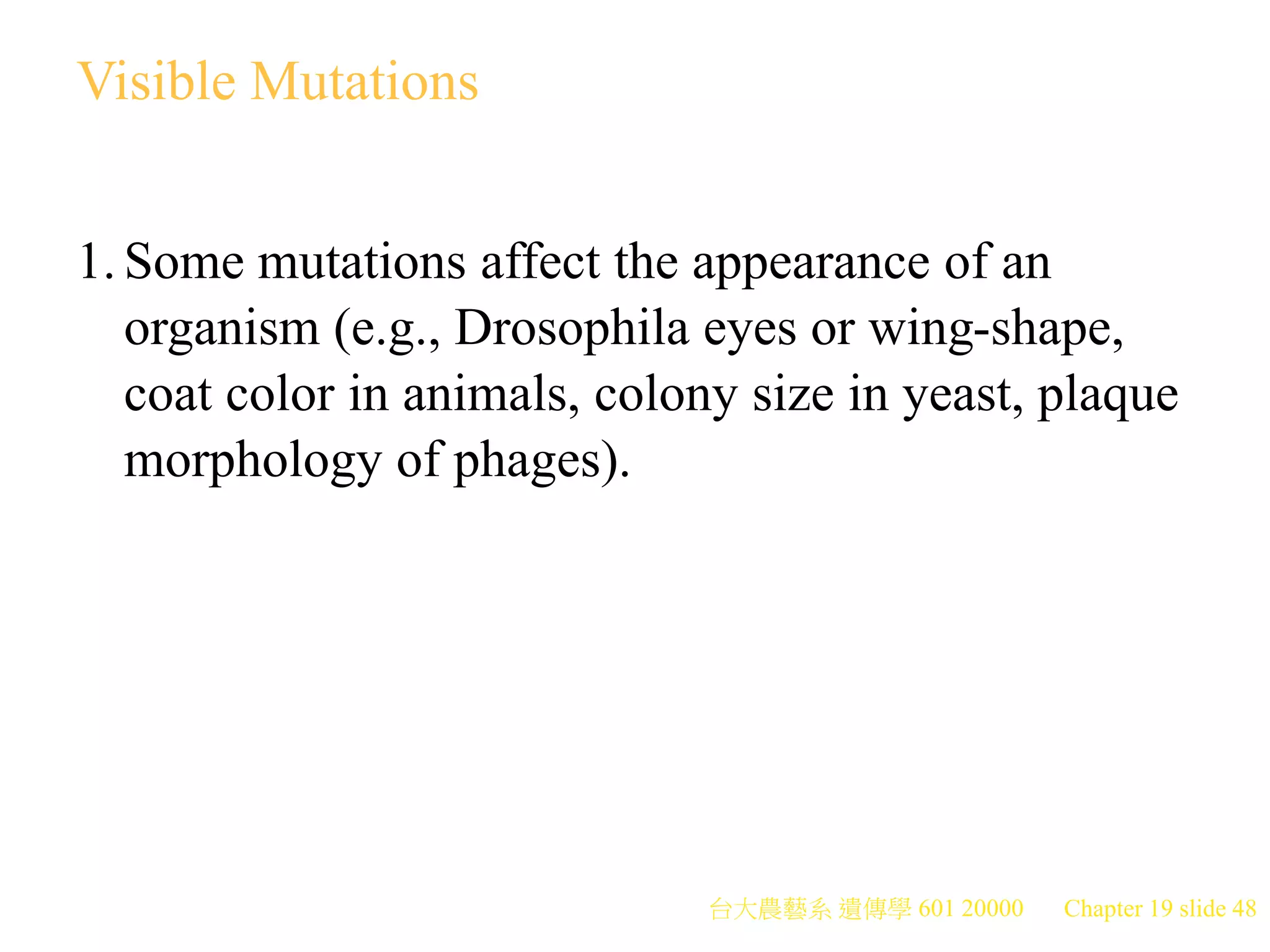 ch19 supplementary mutation.ppt