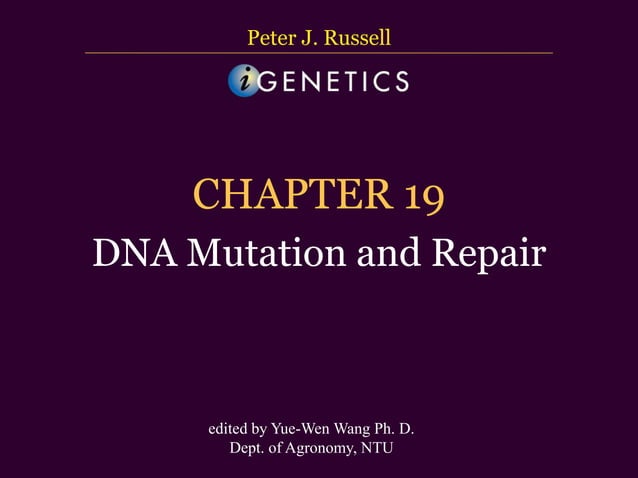 ch19 supplementary mutation.ppt