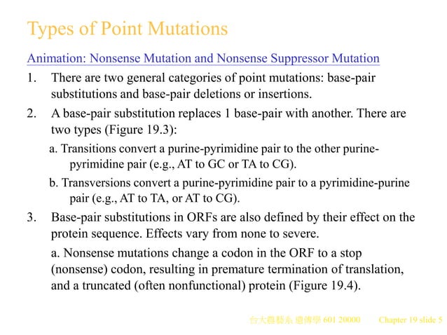 ch19 supplementary mutation.ppt