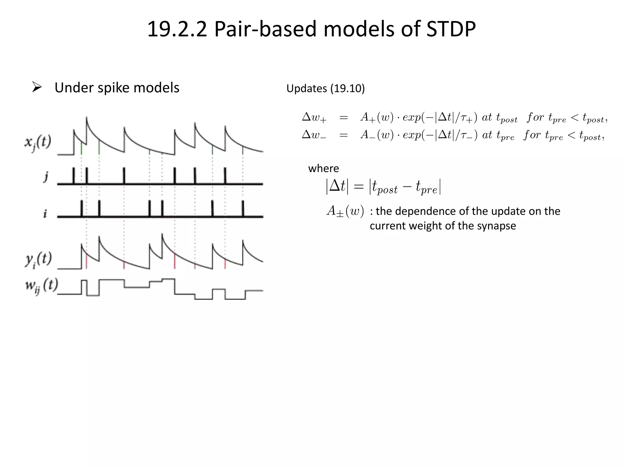 Ch 19 synaptic_plasticity | PPTX