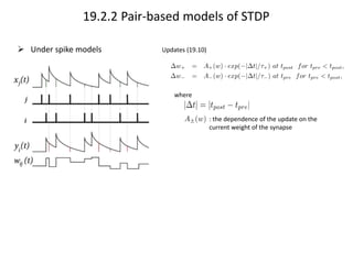 Ch 19 synaptic_plasticity | PPTX