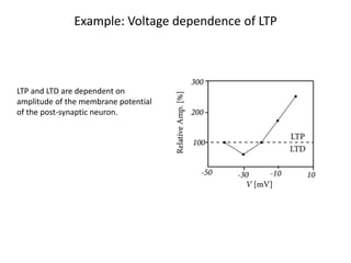 Ch 19 synaptic_plasticity | PPTX