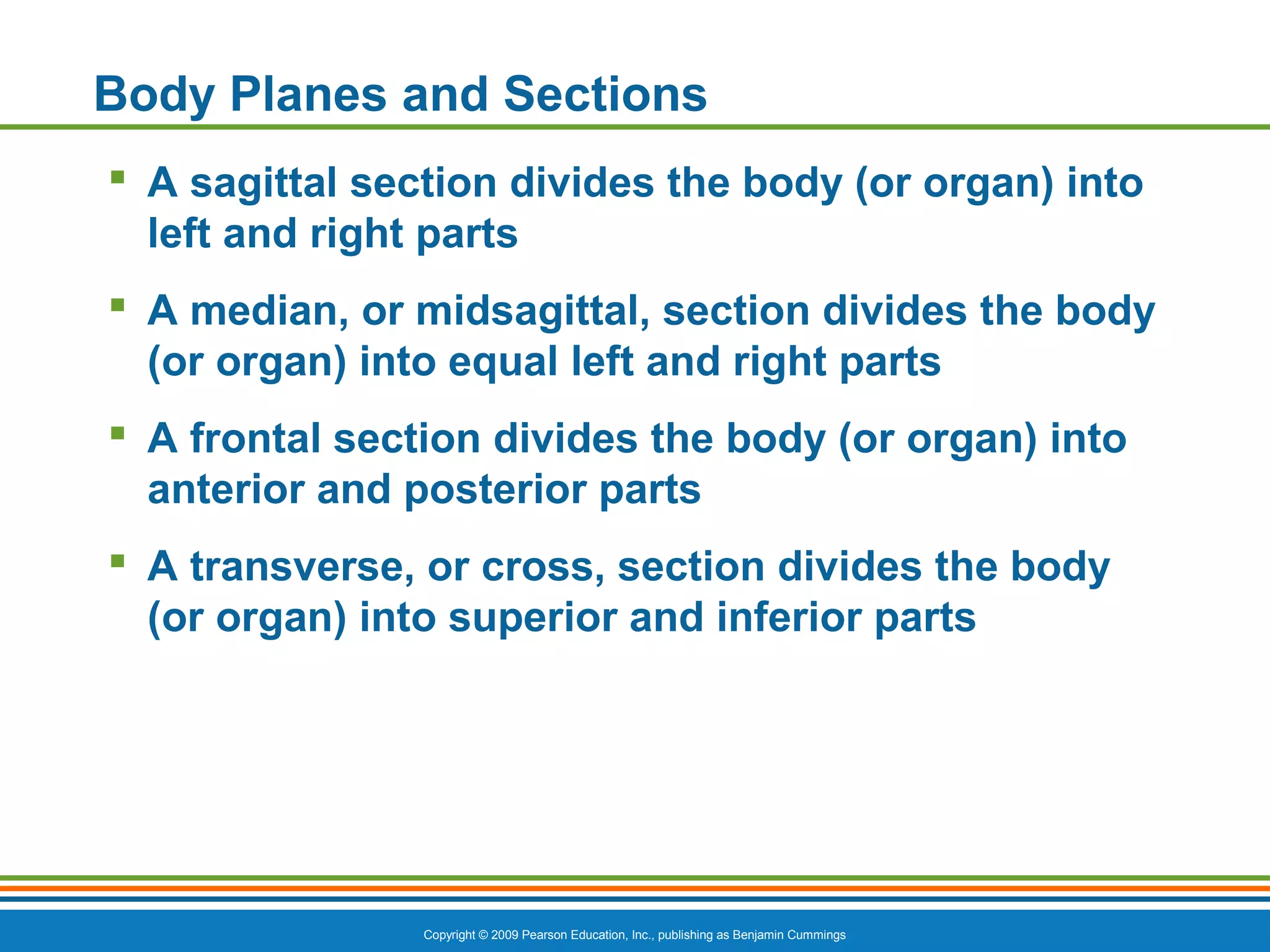 CVA A&P - Chapter 1b Terminology | PPT