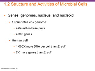 ch1_Cell-and-molecular-biology-Brock Biology.pdf