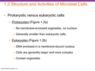 ch1_Cell-and-molecular-biology-Brock Biology.pdf