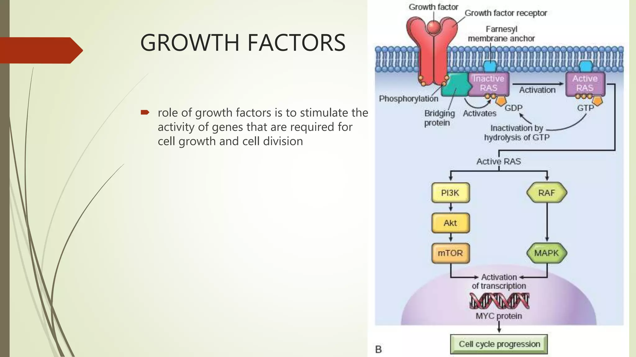 Robbins Chapter 1.. Cell as a unit of health and disease | PPTX