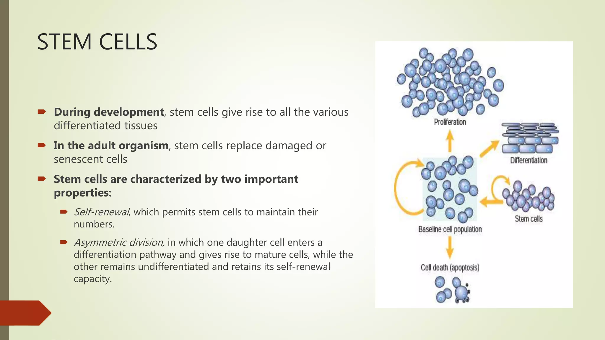 Robbins Chapter 1.. Cell as a unit of health and disease | PPTX