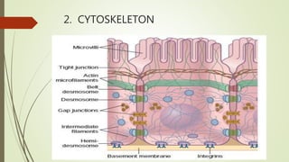 Robbins Chapter 1.. Cell as a unit of health and disease | PPTX