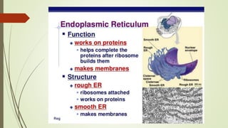 Robbins Chapter 1.. Cell as a unit of health and disease | PPTX