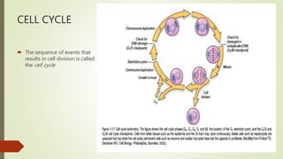 Robbins Chapter 1.. Cell as a unit of health and disease | PPTX