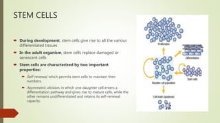 Robbins Chapter 1.. Cell as a unit of health and disease | PPTX